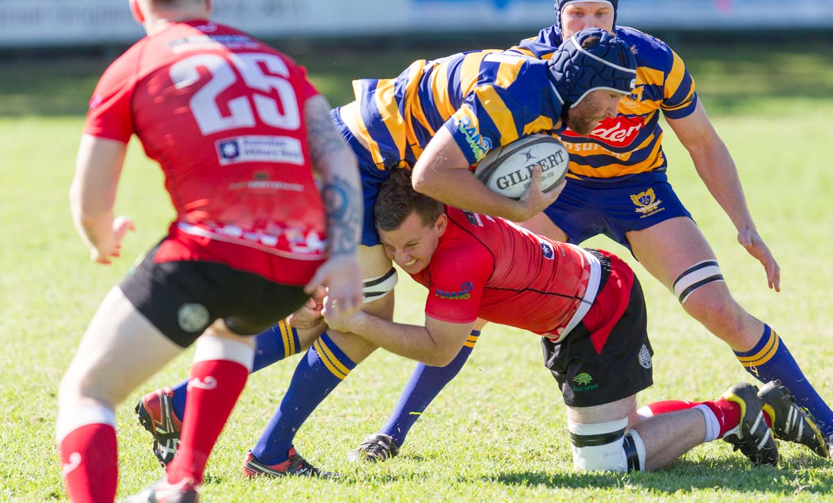 hunterrugby.com.au 6 May 2017: Round 3 - Singleton Army v Hamilton ...